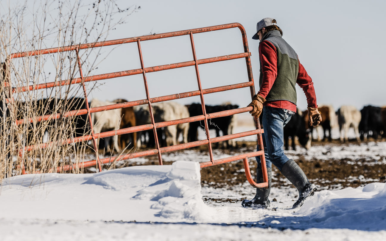 Lite Boots – LiteBoots