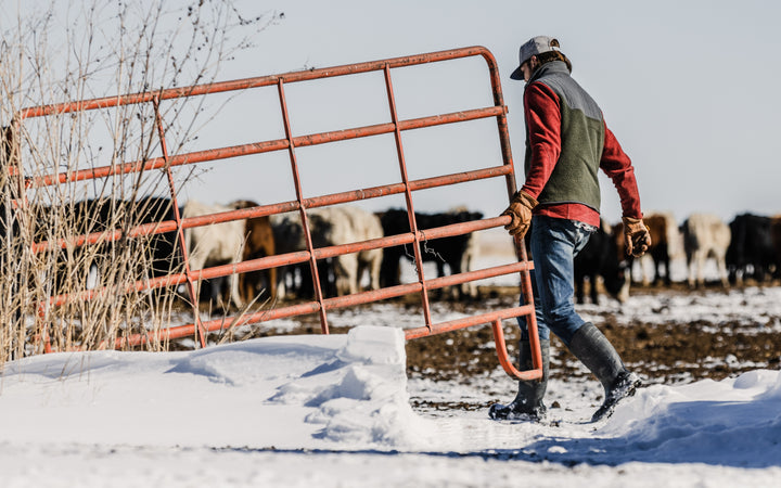 Lite Boots – LiteBoots